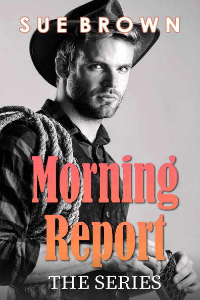 Morning Report box set – suebrownstories